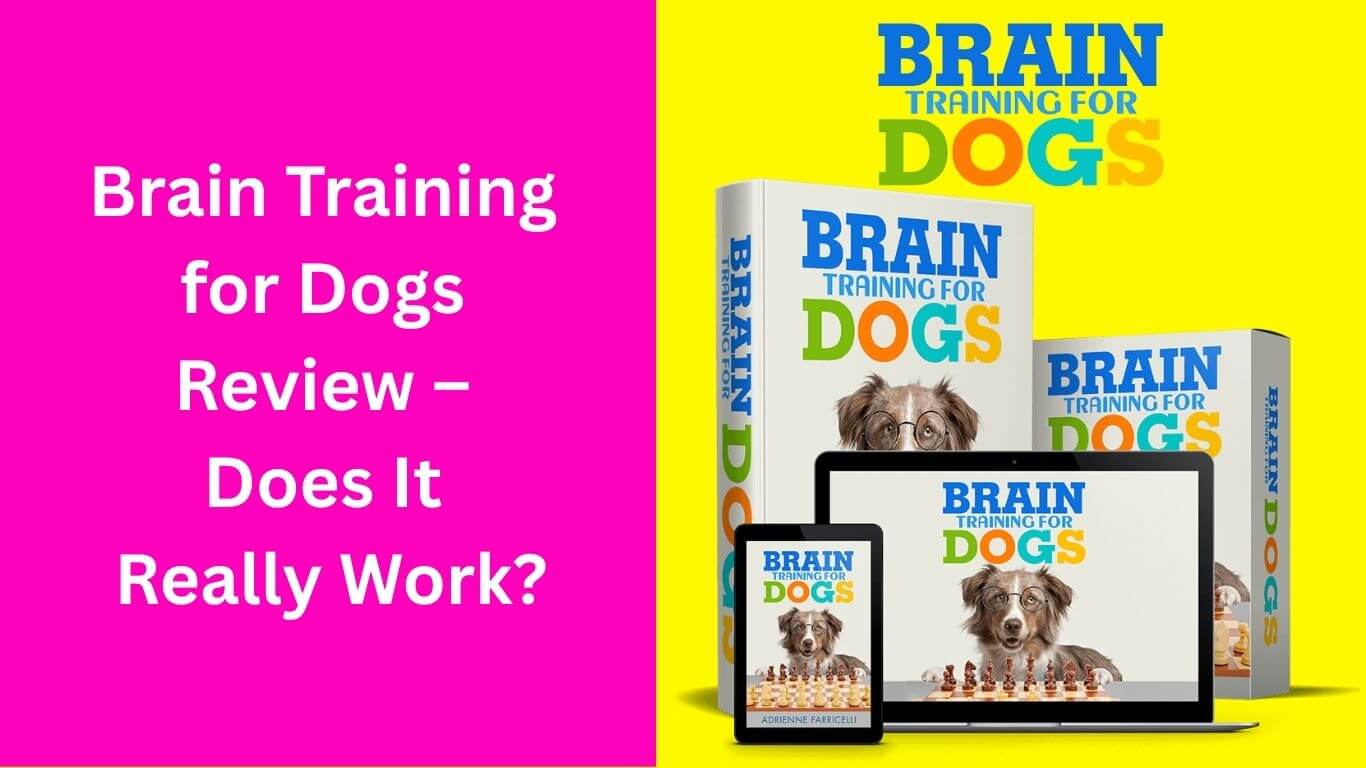 Brain Training for Dogs Review – Does It Really Work?